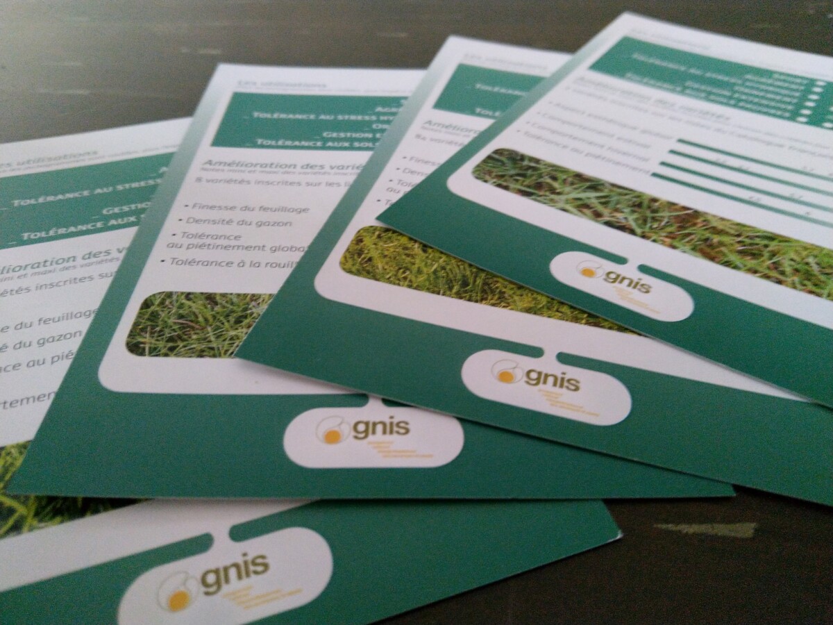 Les fiches « gazon » du Gnis [1/4] - Gazon Sport Pro H24