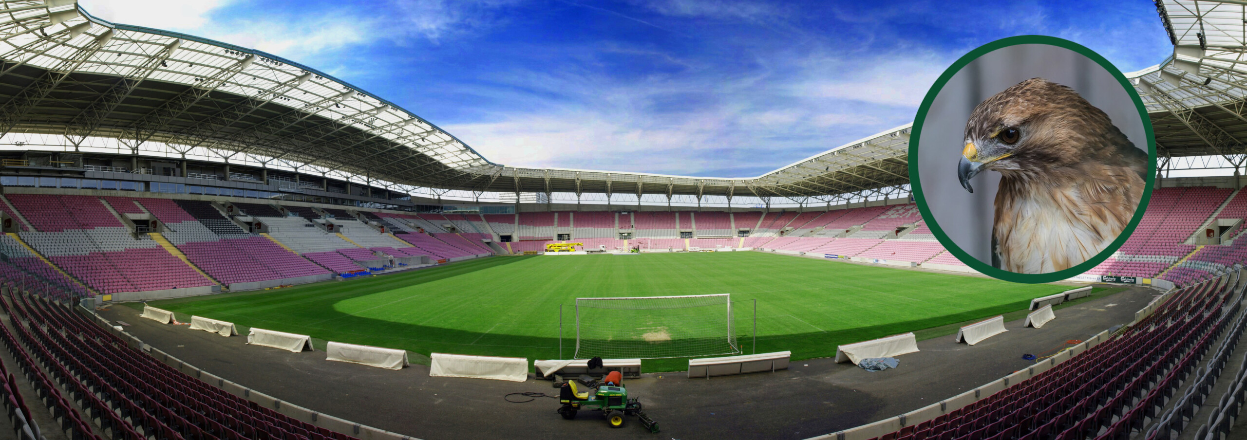 La pelouse de la Praille gardée par des faucons ? - Gazon Sport Pro H24