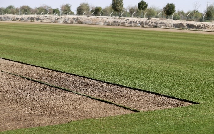 Les Gazons du Qatar : entre prouesse technique et aberration écologique ...