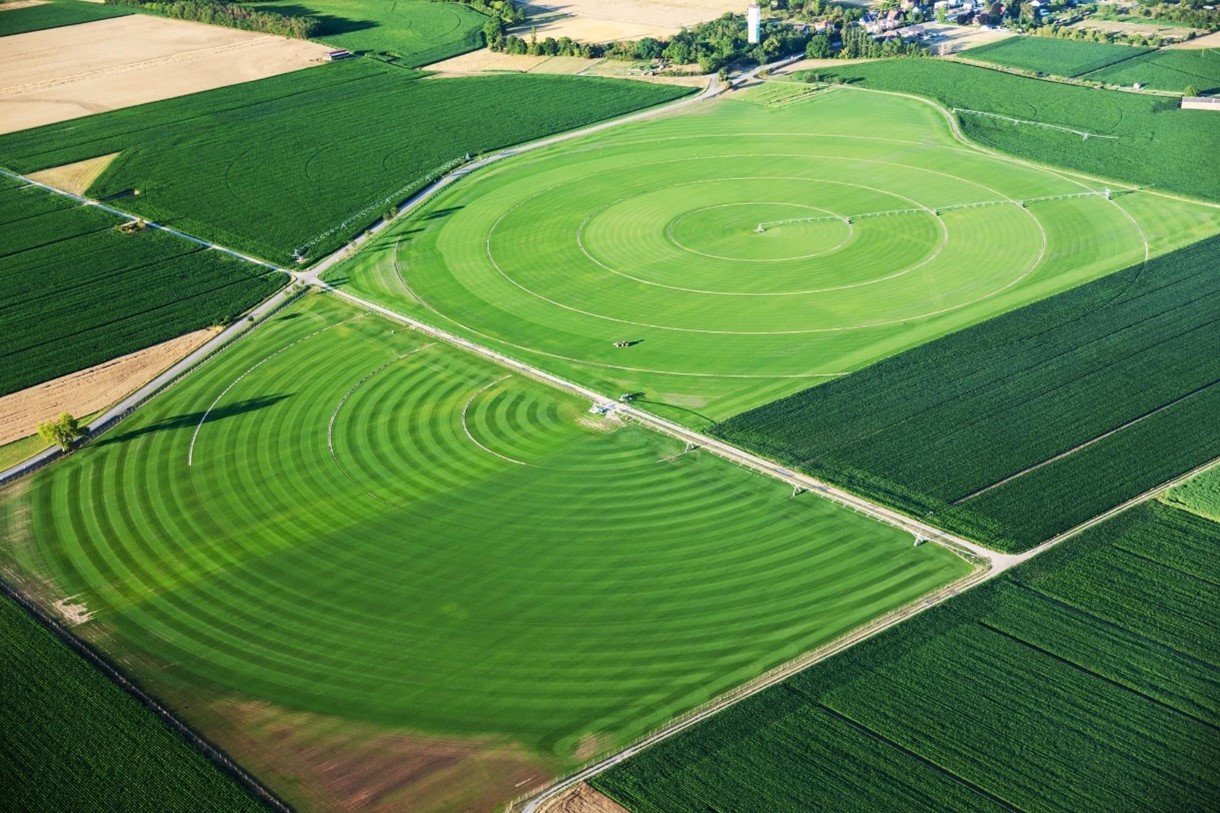 La Gazonnière de la Loire en pleine expansion - Gazon Sport Pro H24
