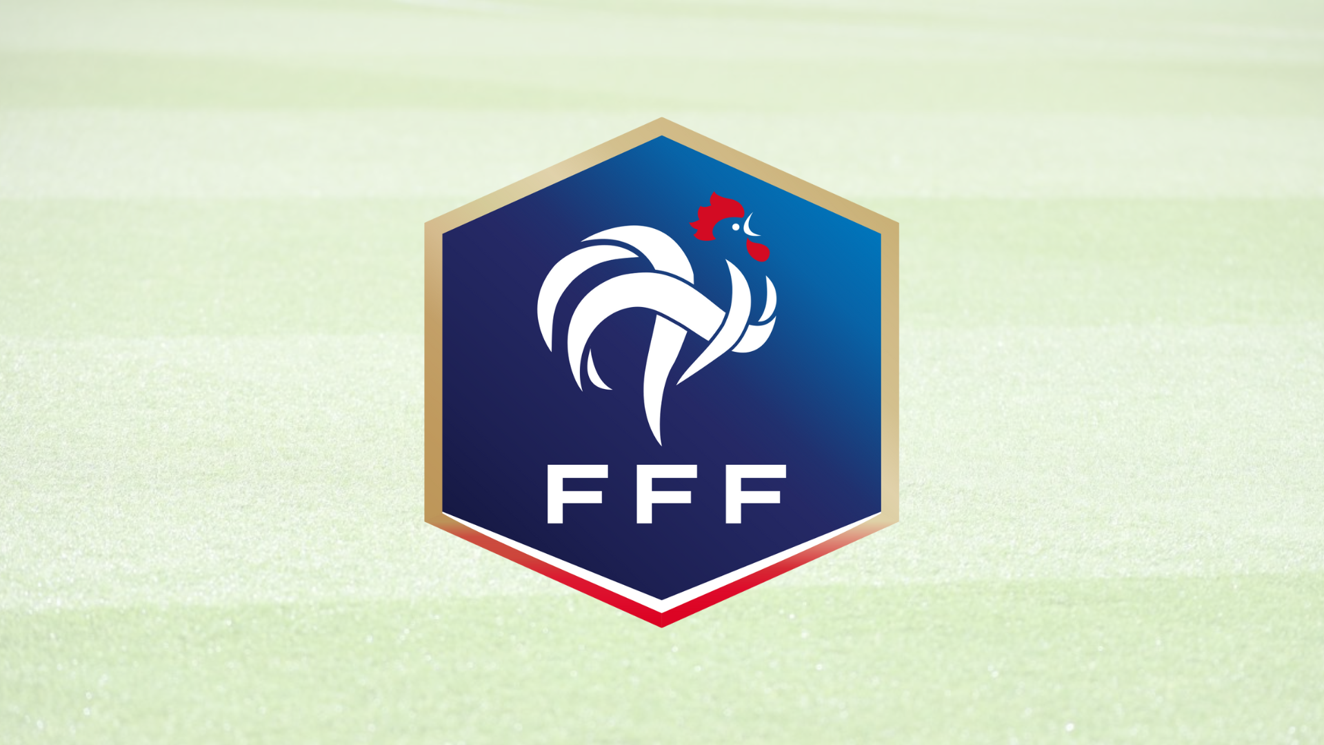 FFF : Audit sur la consommation énergétique des installations de ...