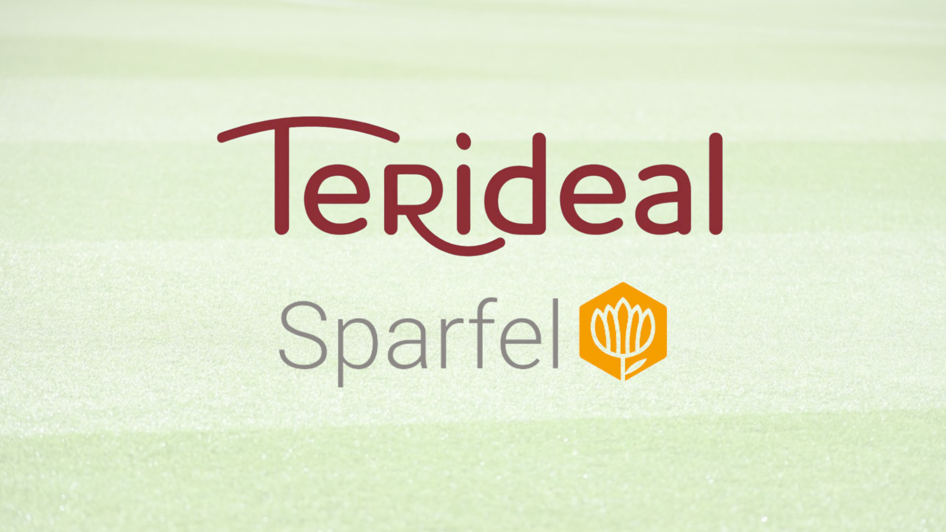 Terideal annonce un développement ambitieux pour Sparfel - Gazon Sport ...
