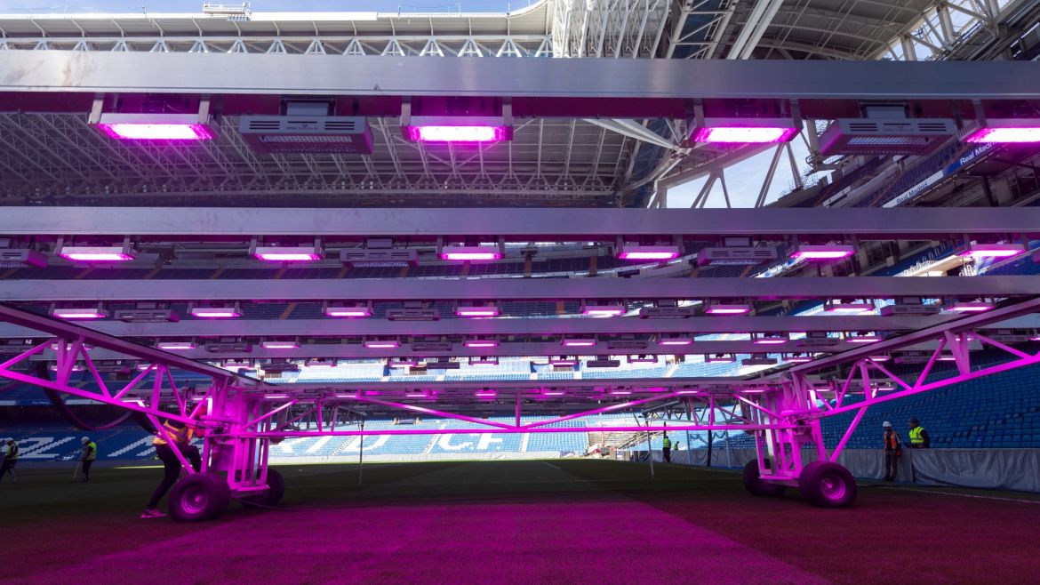 Turf Lighting Solutions et Rhenac GreenTec AG fusionnent - Gazon Sport ...
